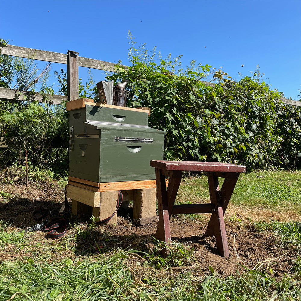 One Queen Keeper - Single Brood Box – The Keeper's Hive