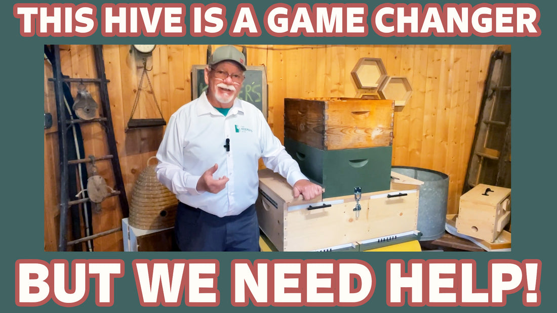 Videos – The Keeper's Hive