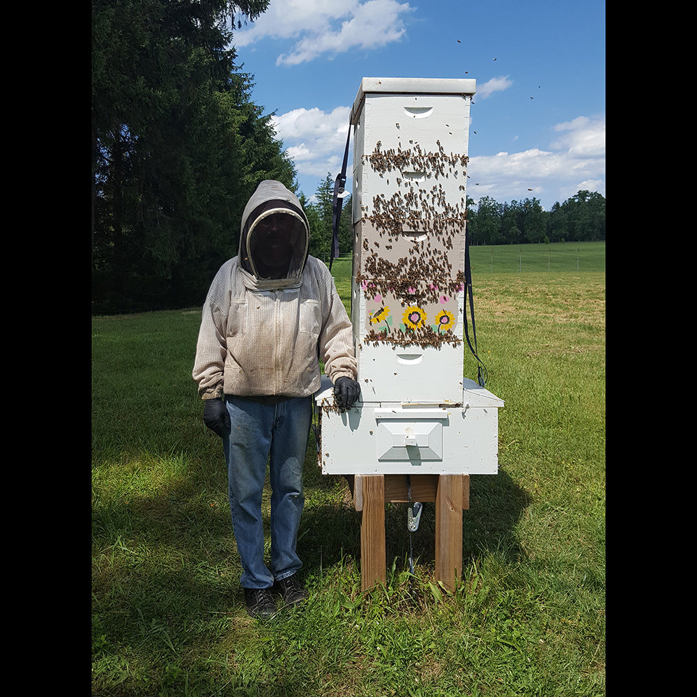 Two Queen Keeper - Double Brood Box – The Keeper's Hive